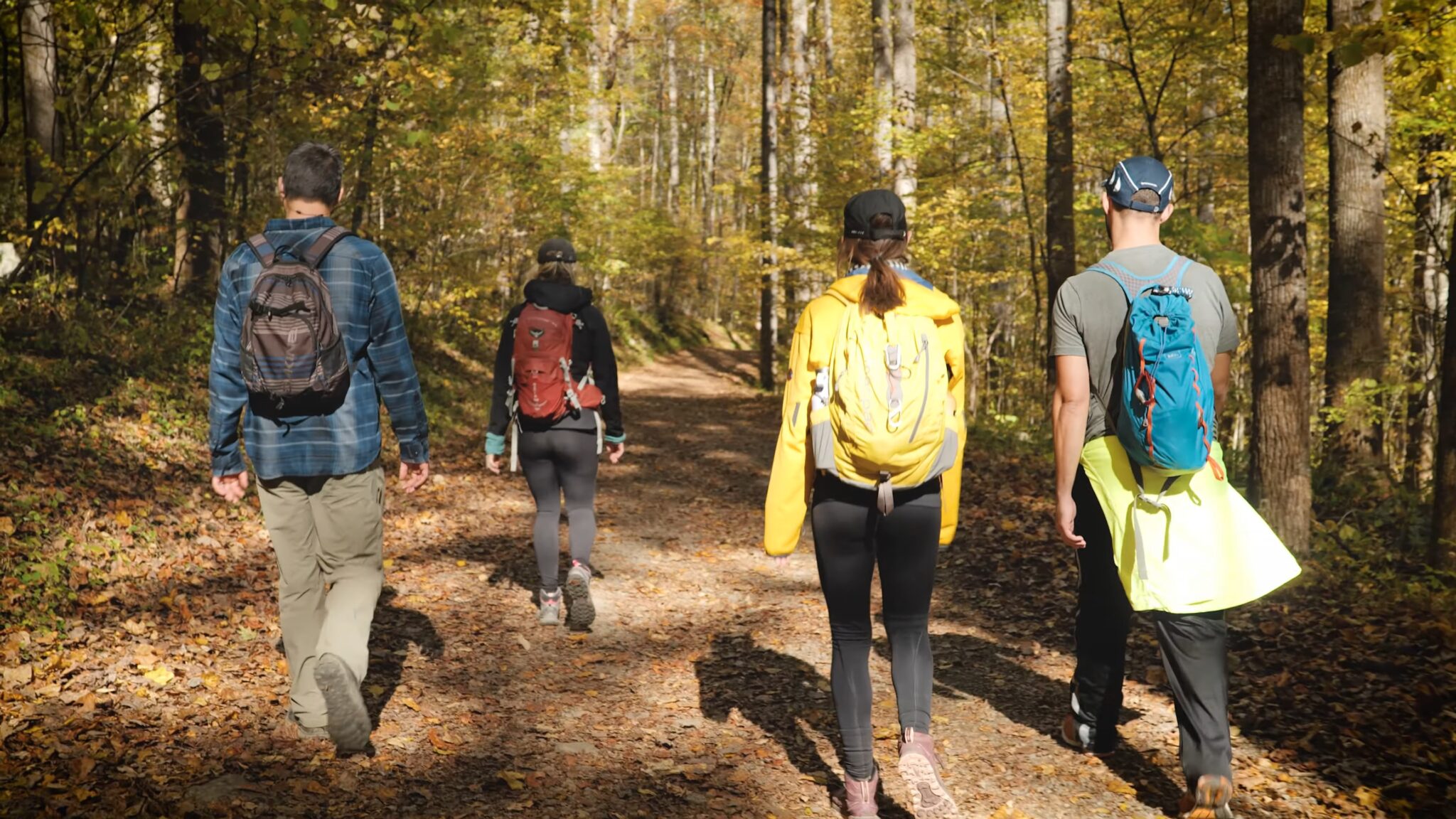 Must-Do Hikes Near Washington, DC That are Worth Your Time - Sandia Hiking